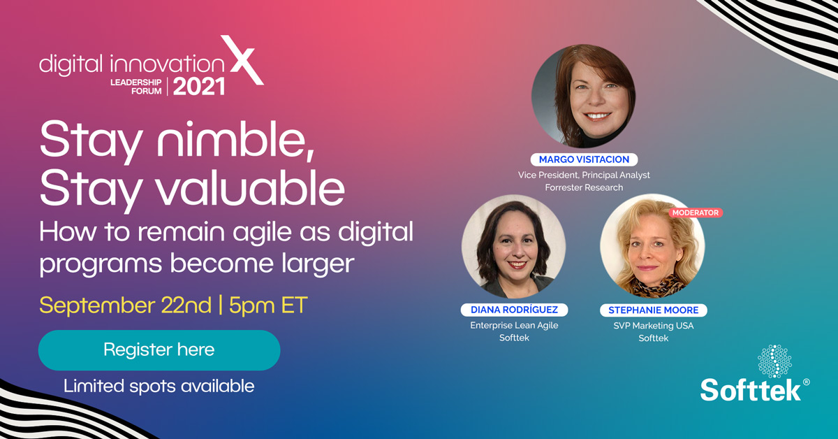 Stay nimble, Stay valuable: How to remain agile as digital programs ...